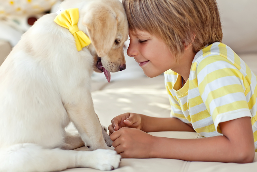 9 Reasons a Dog Can Make a Big Difference in Your Child’s Life ...